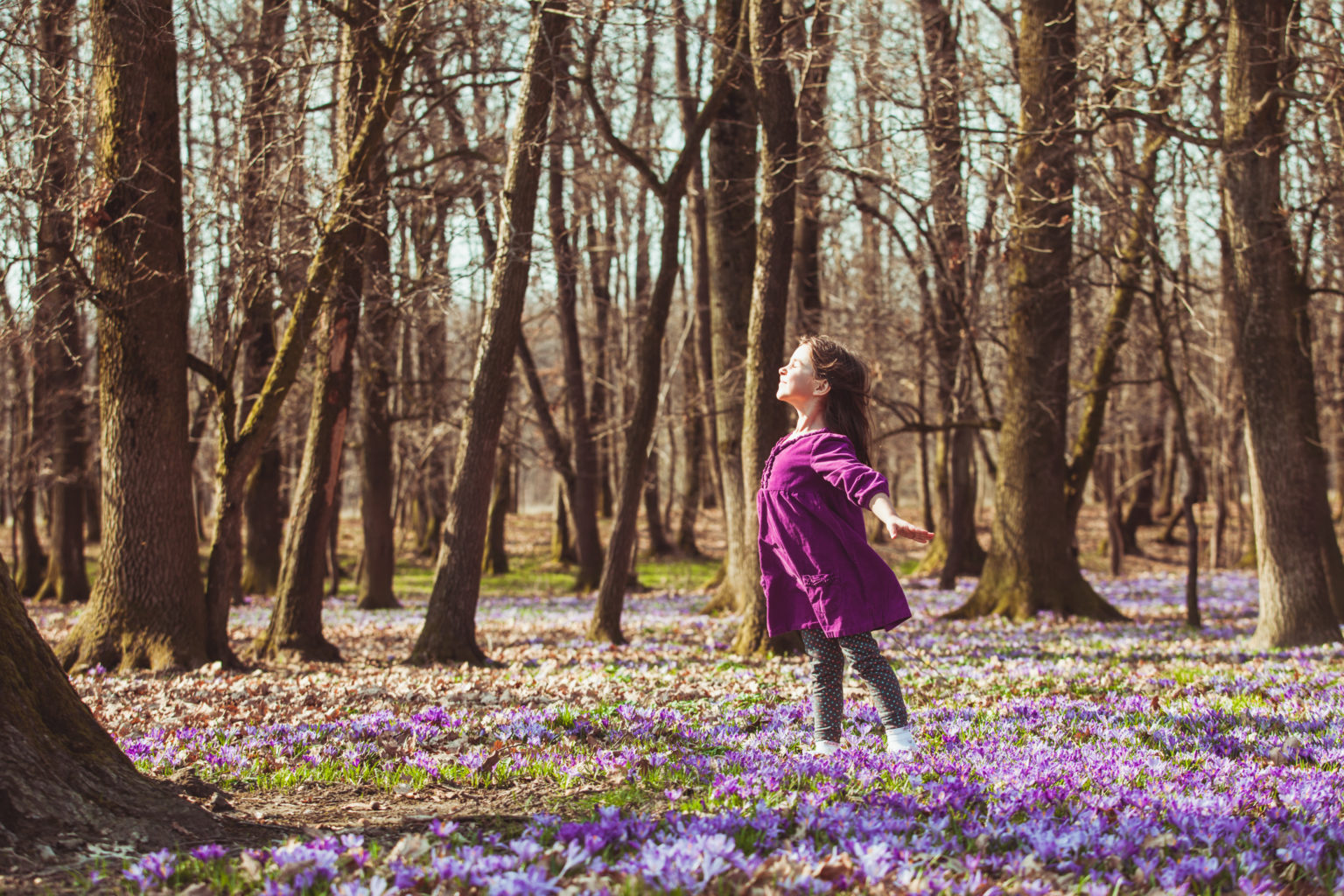 Pharmactive: Sustainability and Innovation for the Future | Pharmactive ...