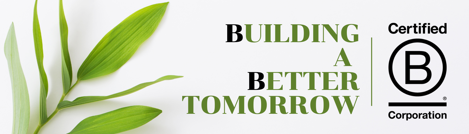 Manufacturer of Botanical Products | Pharmactive